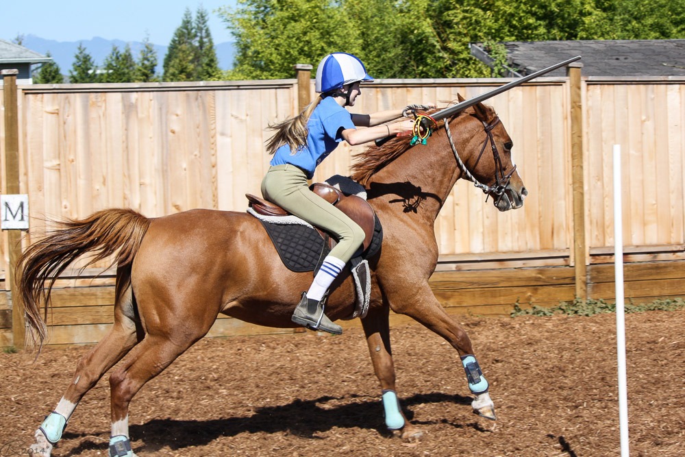 What's Ahead in Mounted Combat in 2019? You tell us! - Academie Duello ...