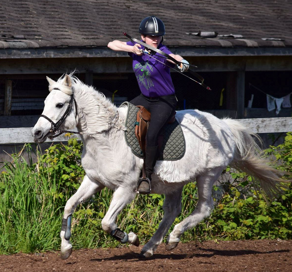 International Mounted Games meet Mounted Combat - Academie Duello ...