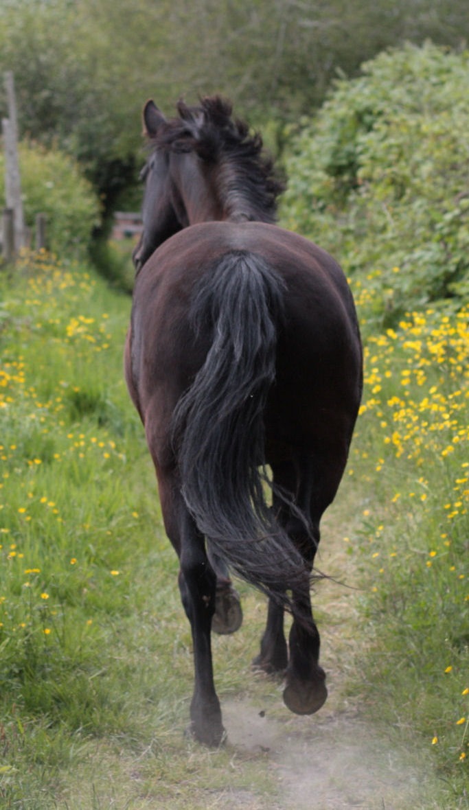 Switching to Summer Hours at Red Colt - Academie Duello - Learn Swordplay