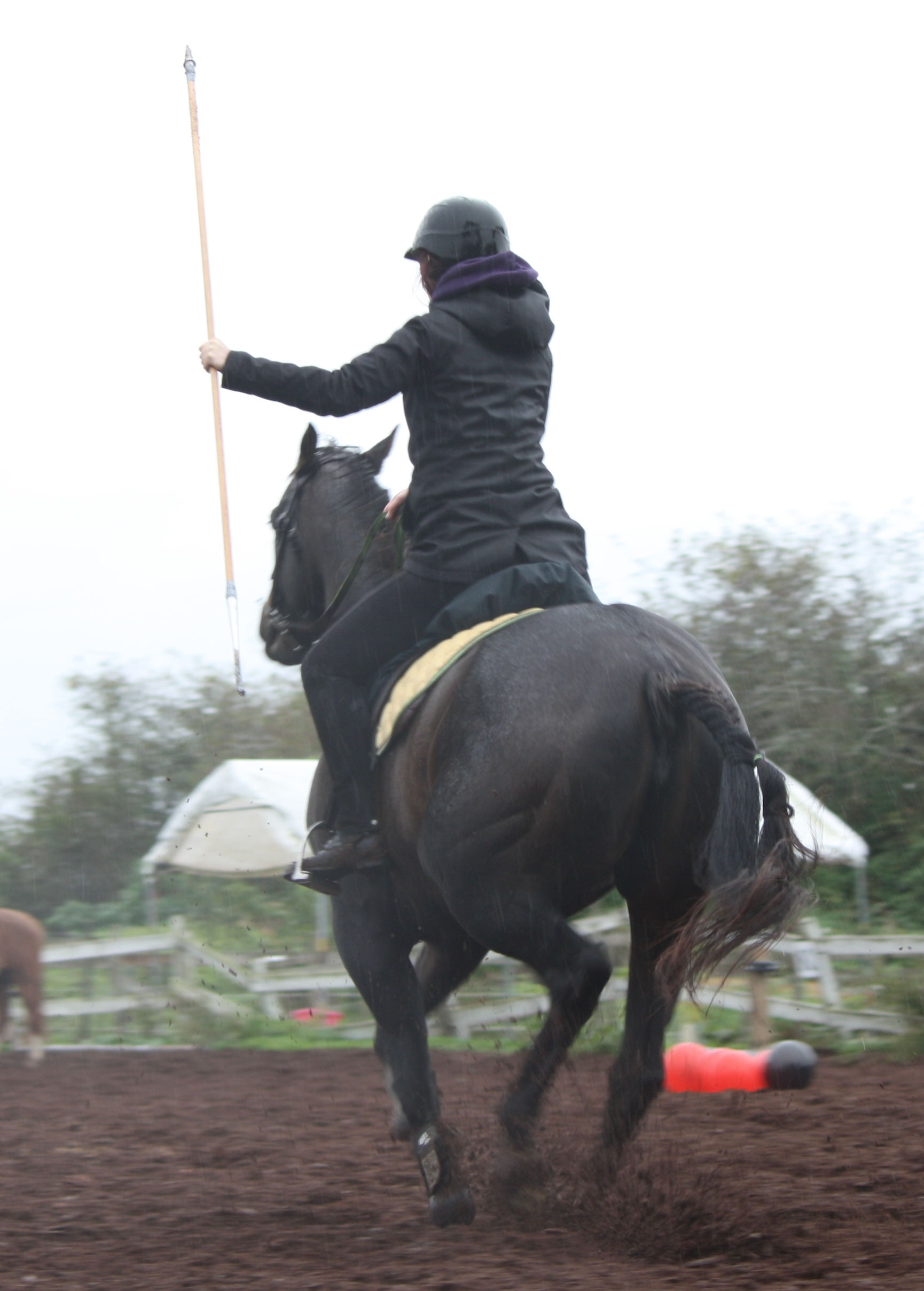 Mounted Combat Courses - Start Delayed - Academie Duello - Learn Swordplay