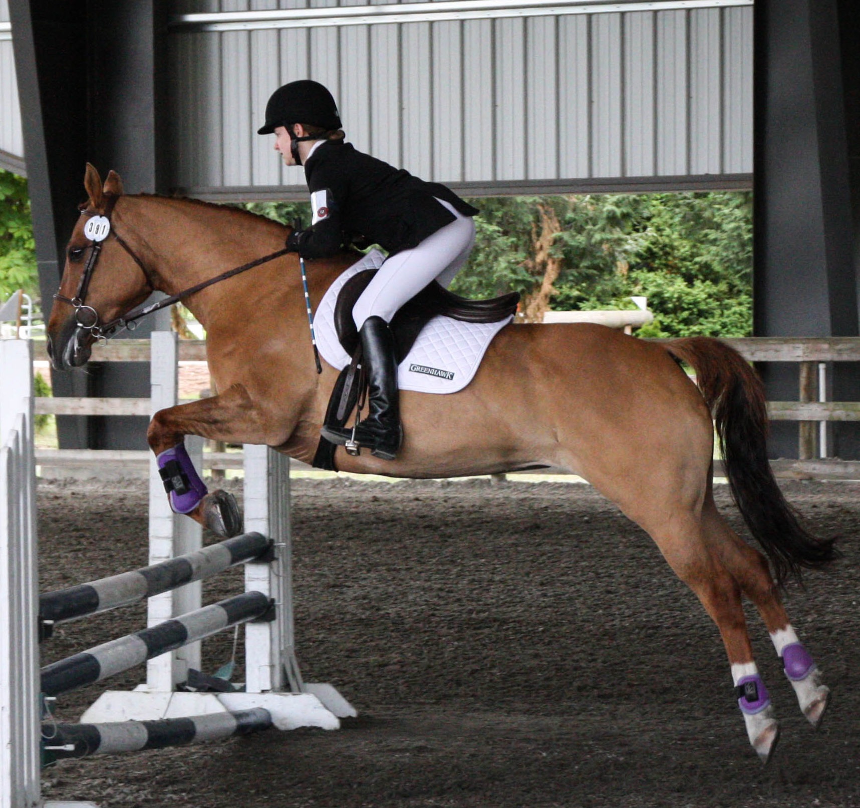 Stadium Jumping: the half course - Academie Duello - Learn Swordplay