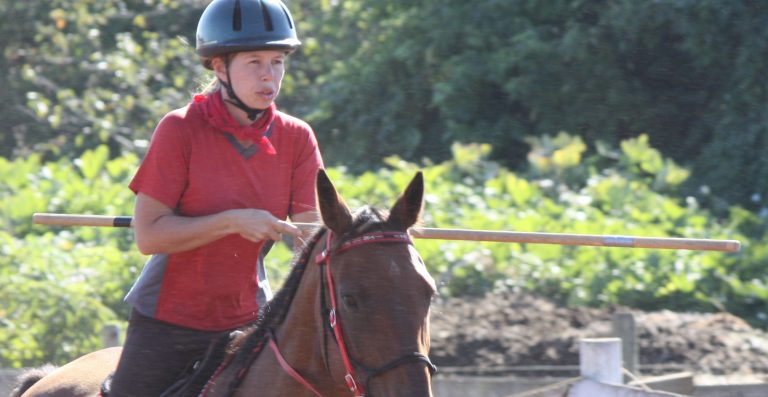 Learning to Let Go: couching and releasing the lance - Academie Duello ...