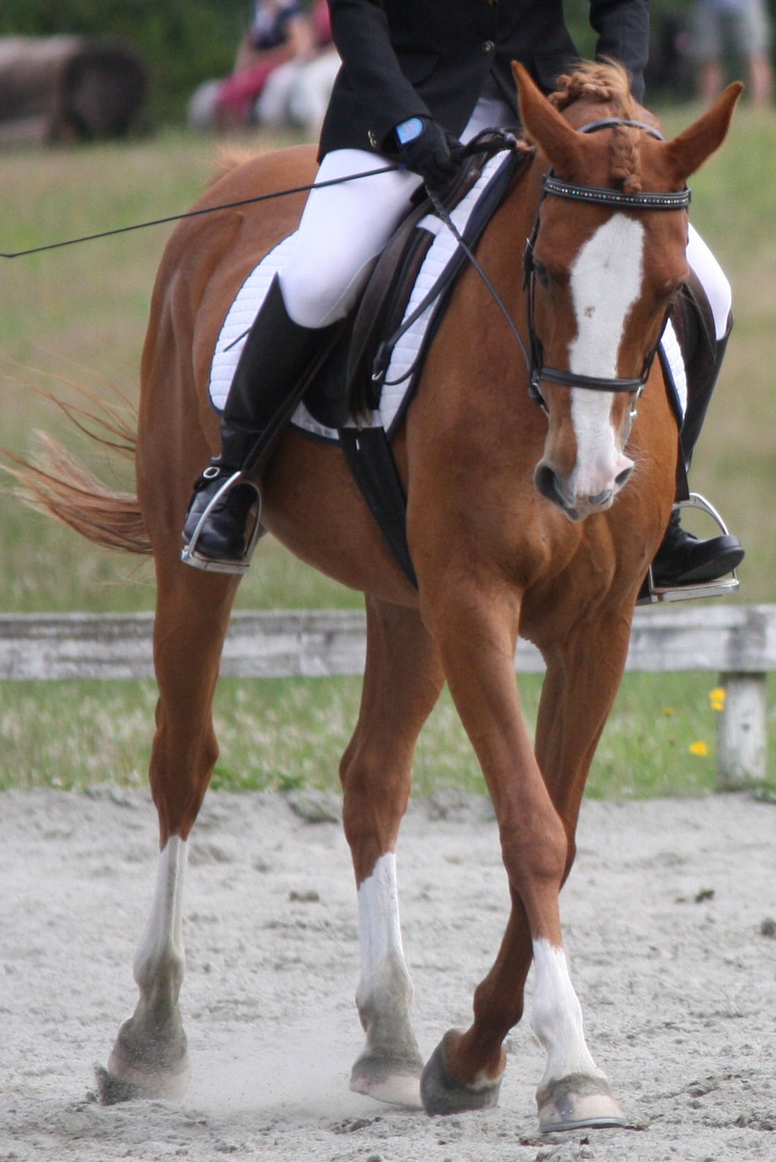 Lateral Thinking: the Leg Yield - Academie Duello - Learn Swordplay