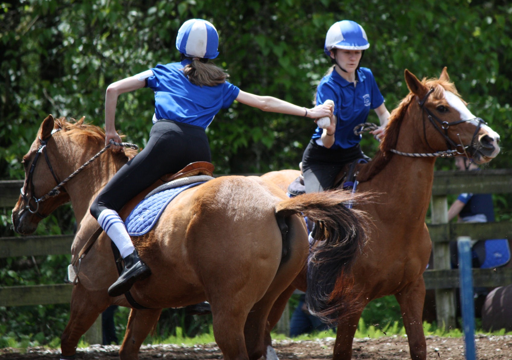 Team Riding: Hand to Hand - Academie Duello - Learn Swordplay