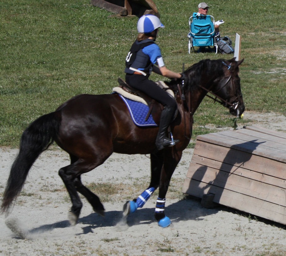 Reining it in - Academie Duello - Learn Swordplay